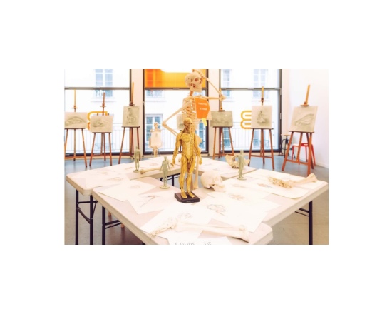 Bac STD2A - Lycée de Design à Lyon - Bellecour Ecole